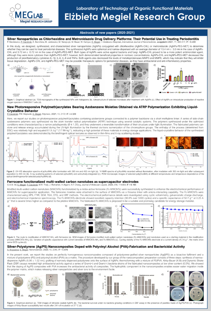 Research Group Poster - MegLab